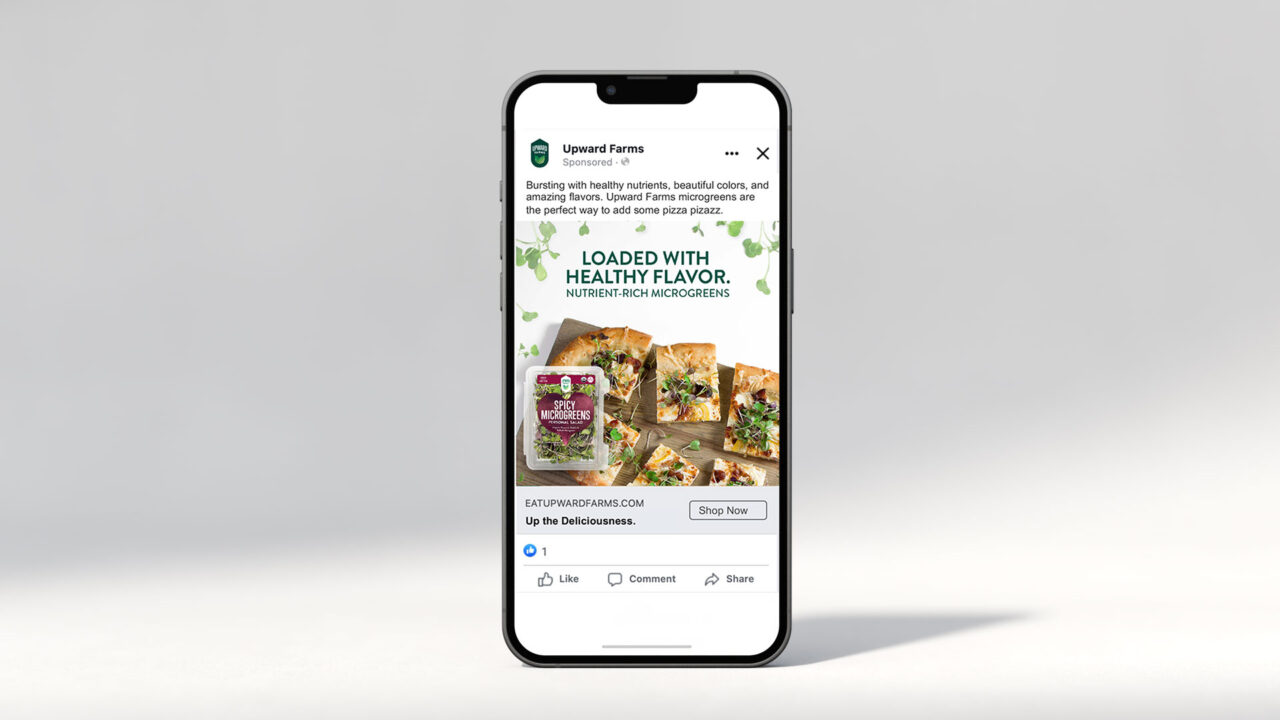 Upward Farms Food Social – 24fps Productions